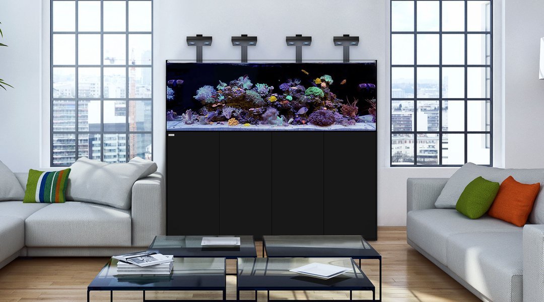 Aquarium and reef tanks – tagged "tank" – Reef Aquaria